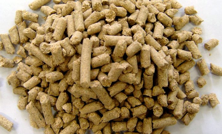 Feedstuff – GREENCO